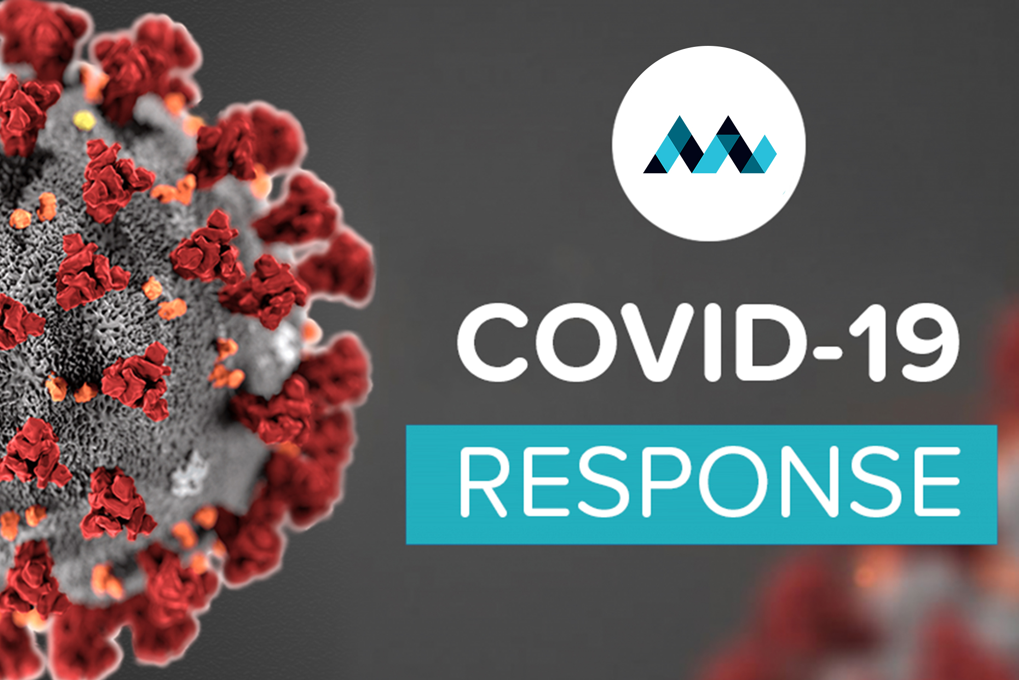 Corporate – Modus Projects